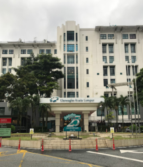 医療費 | がちで起業してマレーシア在住20年